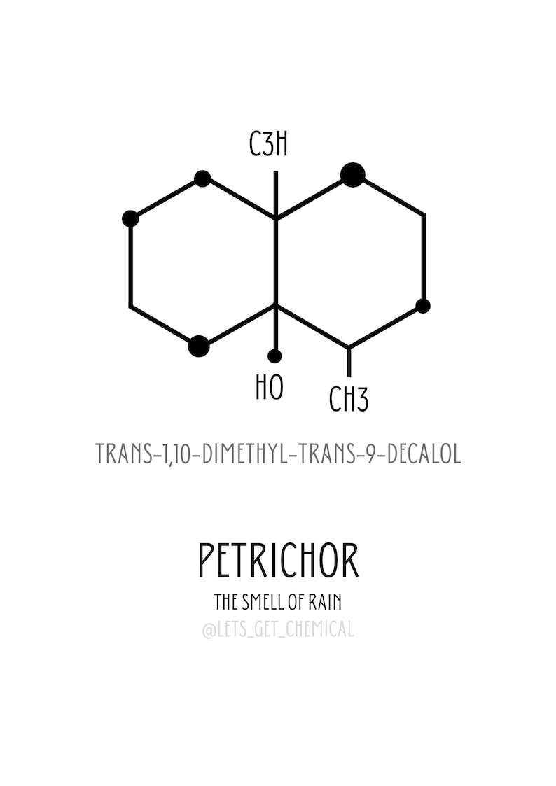 Petrichor Molecule Smell of Rain Art Print Chemistry Print | Etsy