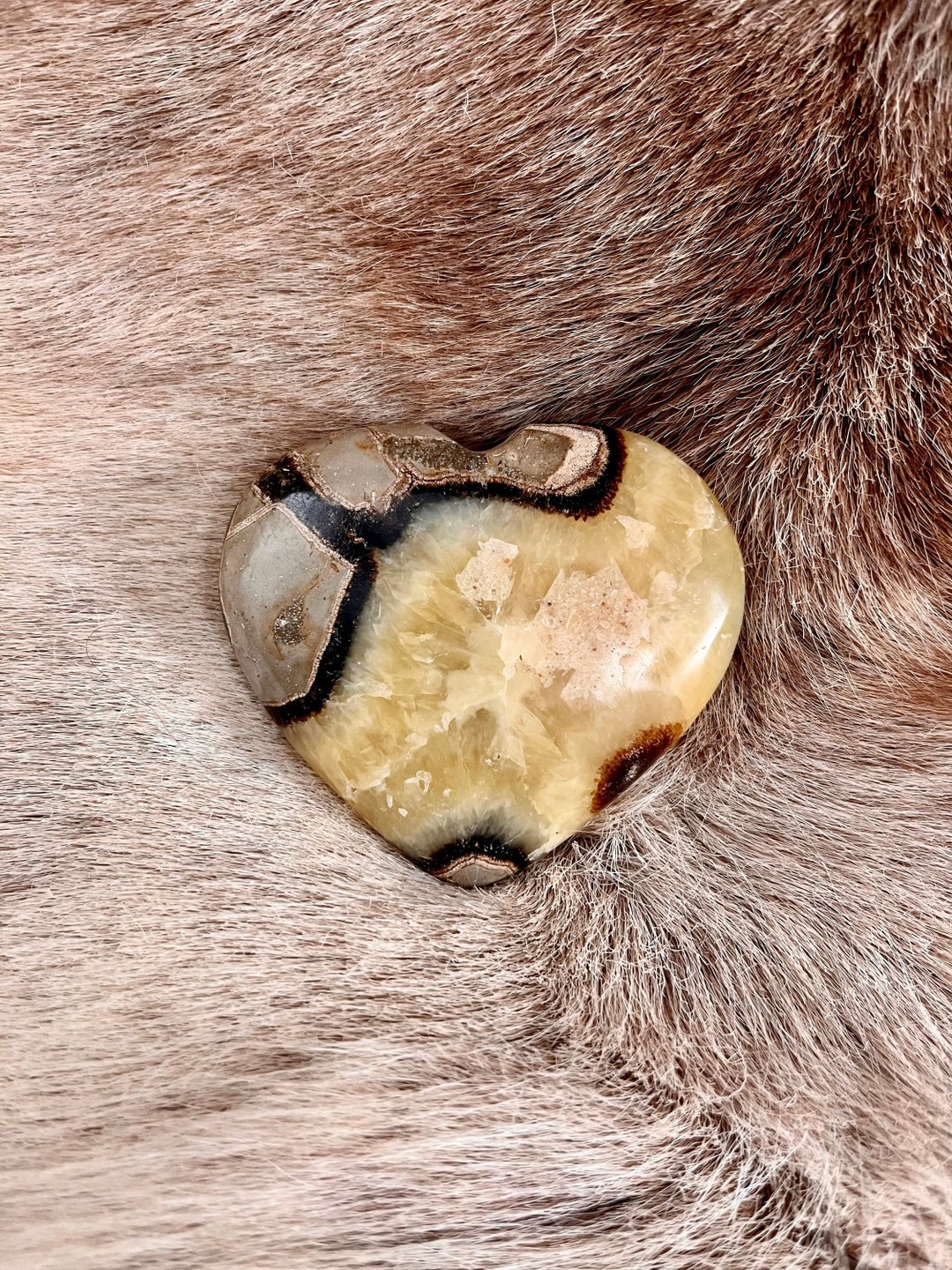 Septaria - Heart - Stone Heart - Natural Stone - Etsy