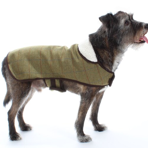 Dog Fleece Polo PDF Sewing Pattern Sizes XXS to 3XL | Etsy