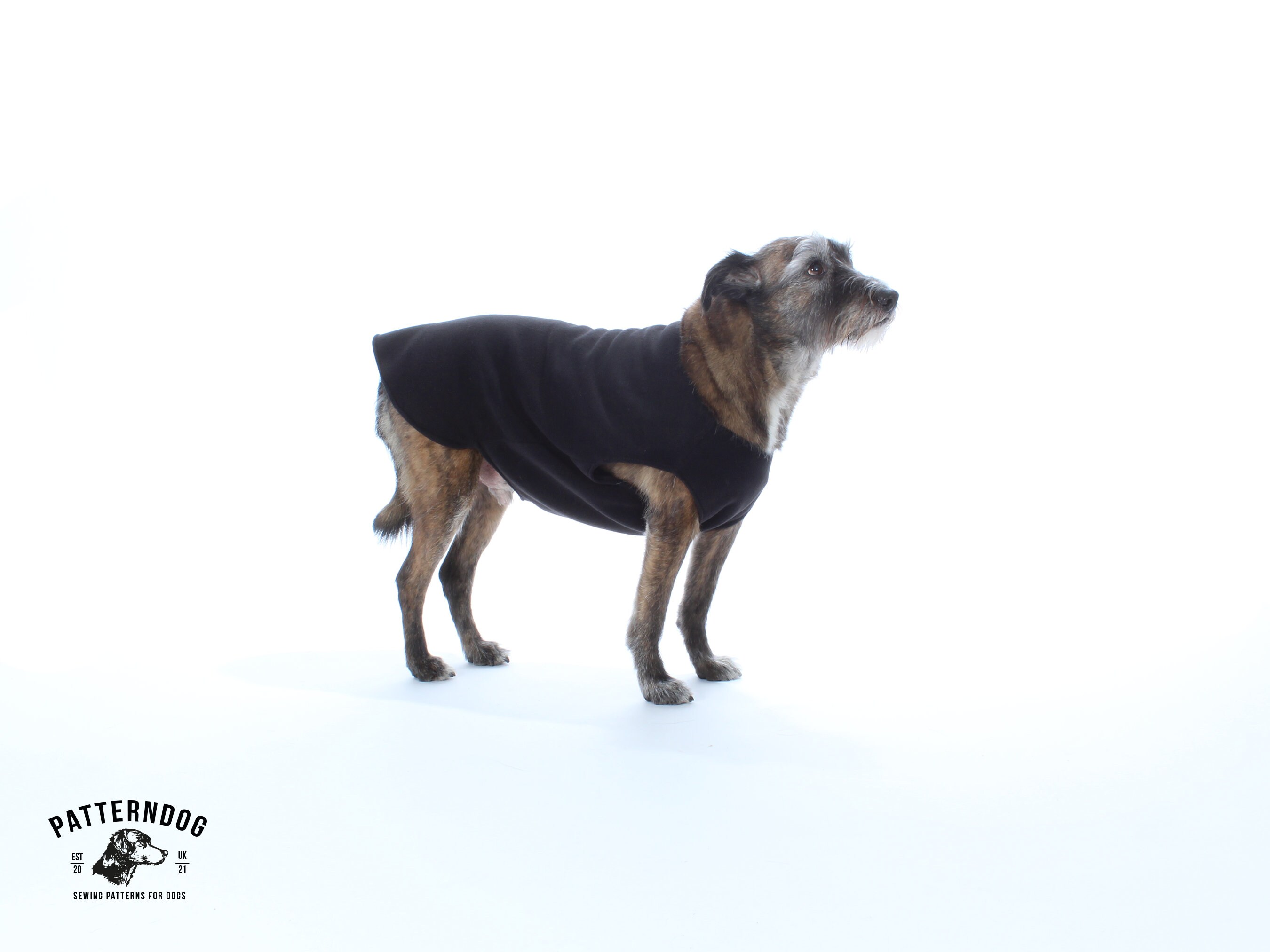 Dog Fleece T-shirt PDF Sewing Pattern Sizes XXS to 3XL 8 - Etsy