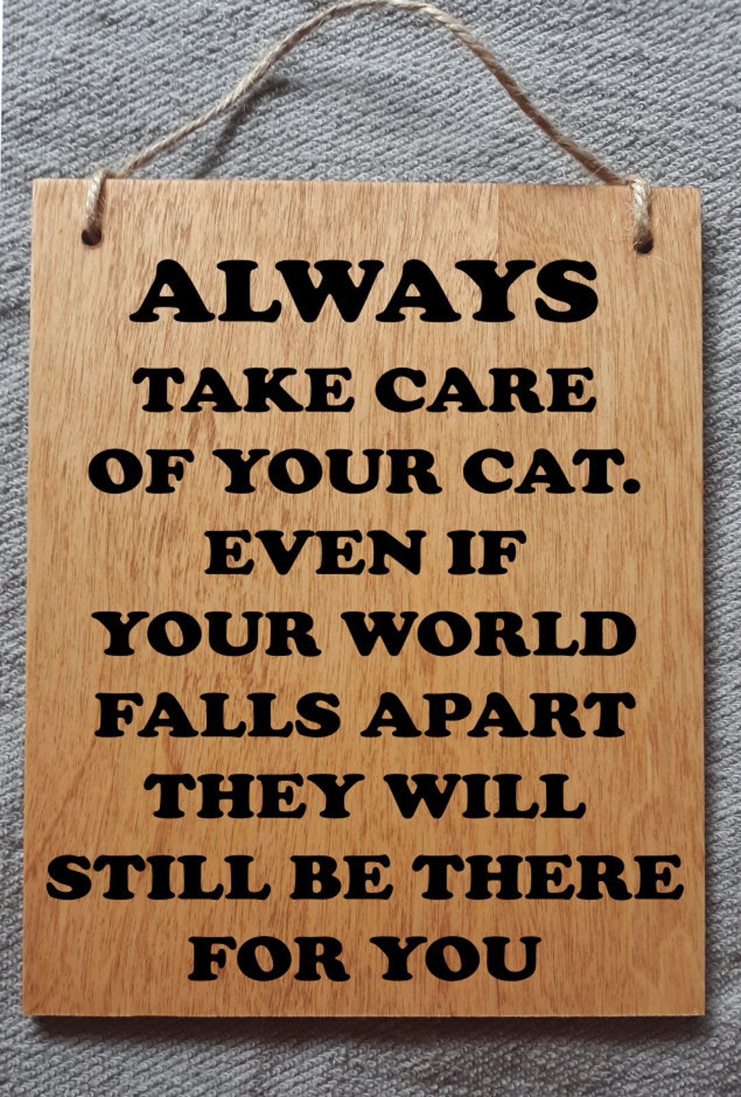Always Take Care of Your Cat, Feline Wood Sign, Healthy Cat ...