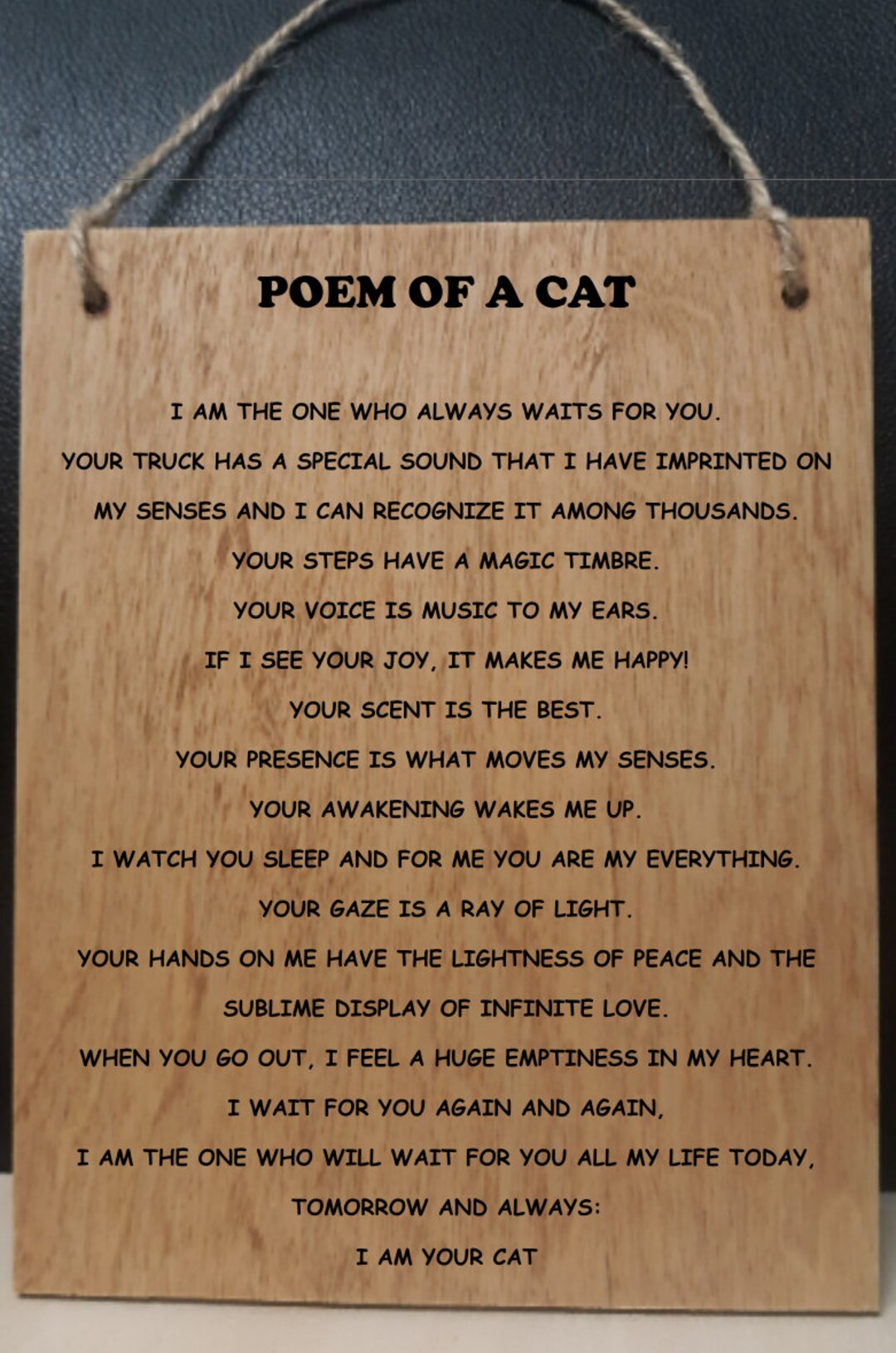 Poem of A Cat, 8 X 10 Wood Sign, Feline Poetry, Cat Poetry, Hanging ...