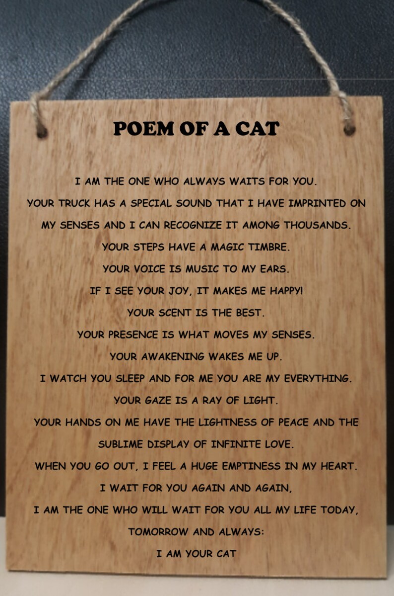 Poem of A Cat, 8 X 10 Wood Sign, Feline Poetry, Cat Poetry, Hanging ...