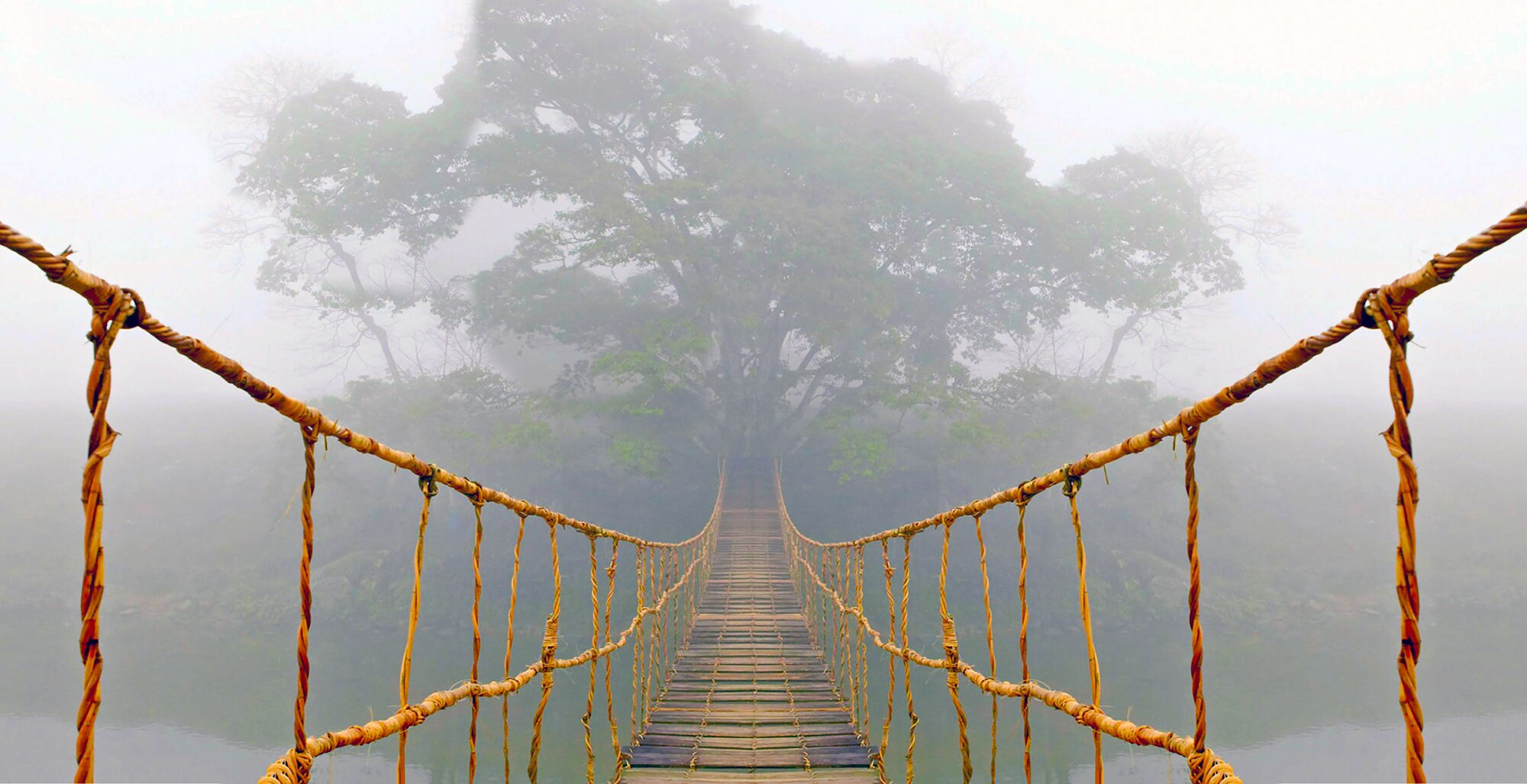 Deep Bridge 3D Photo Wallpaper / Diep Brugbeeld 3D Fotobehang / Deep ...