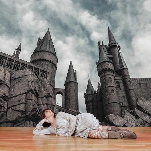 Wizarding World Wallpaper Mural / Wizard School Wallpaper / - Etsy