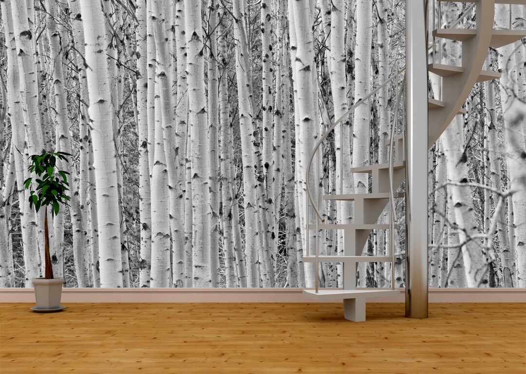 Poplar Tree 3D Wall Mural / Populierboom 3D Fotobehang / Pappelbaum 3D ...