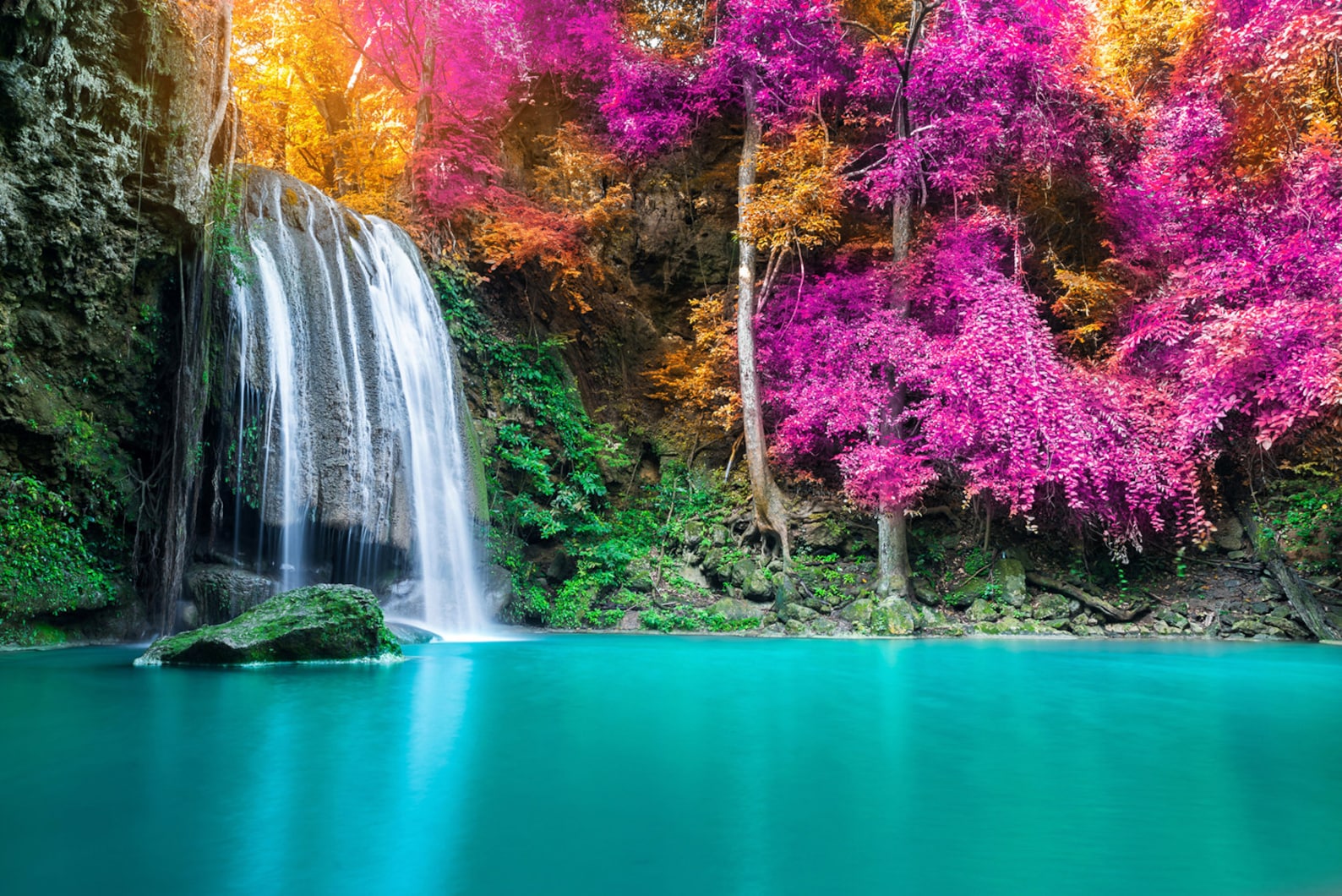 Colorful Waterfall Wallpaper Mural, Tropical Forest Landscape Wall ...
