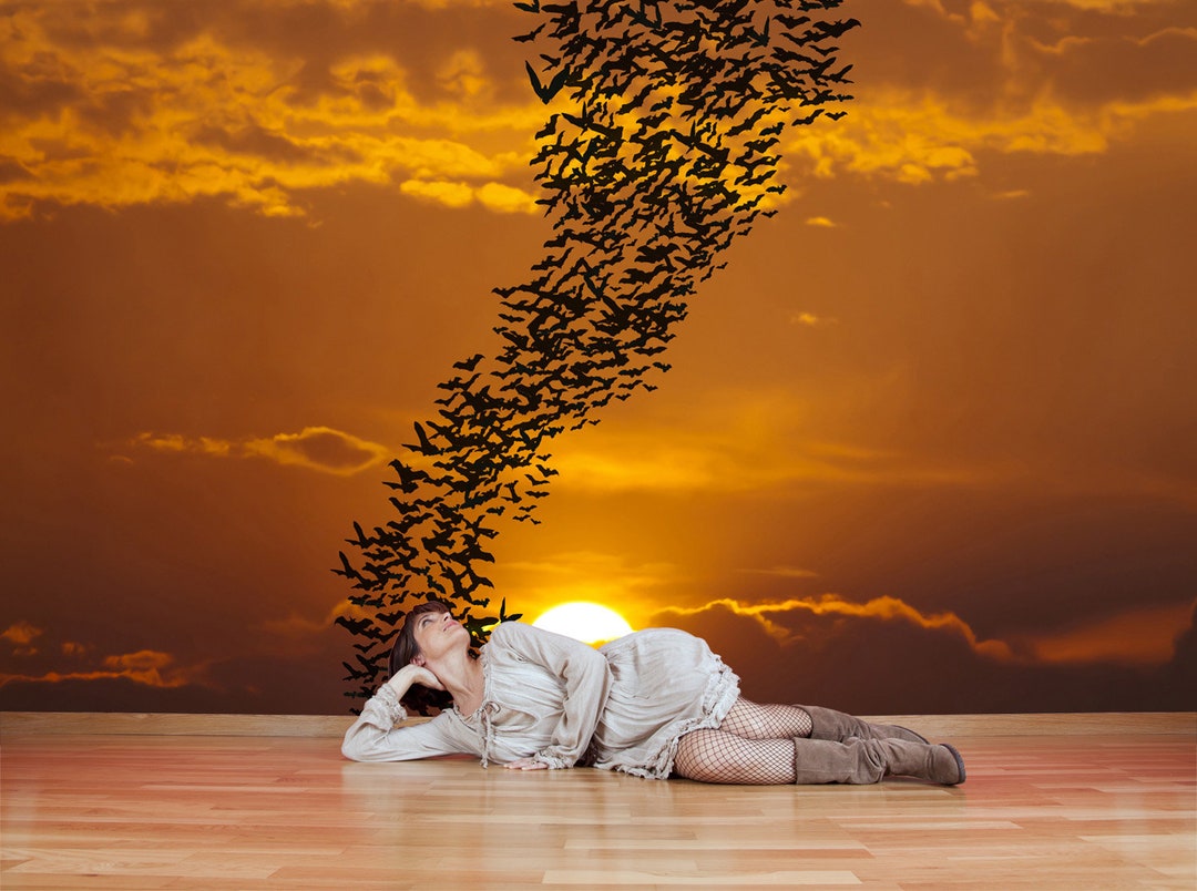 Flying Birds Wallpaper Mural / Bird Migration Wallpaper / Sunset Poster ...