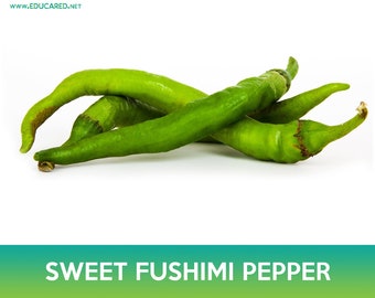 50 Fushimi Sweet Long Japanese Sweet Pepper Seeds 伏見甘長唐辛子 ふしみあまなが - Etsy
