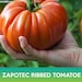 Zapotec Oaxacan Ribbed Tomato Seeds - Etsy
