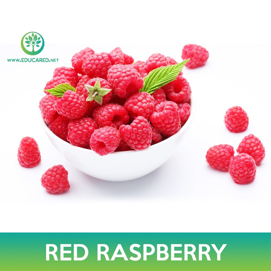 Red Raspberry Seed - Etsy