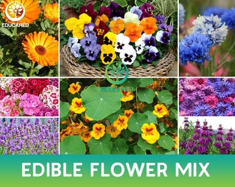 Edible Flower Mix 100 Seeds Heirloom Non-gmo - Etsy
