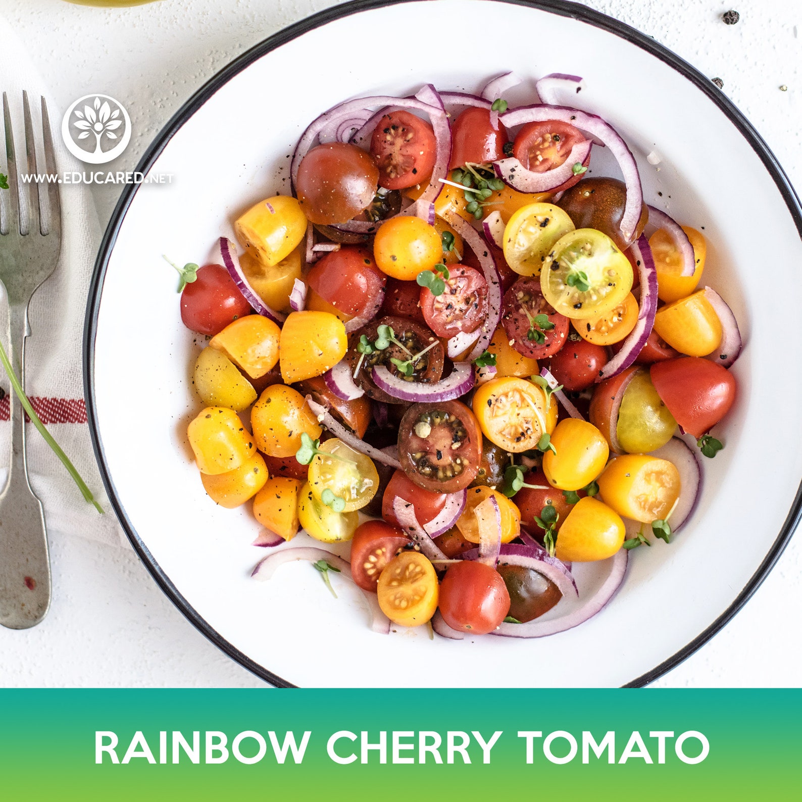 Rainbow Cherry Tomato Seeds - Etsy