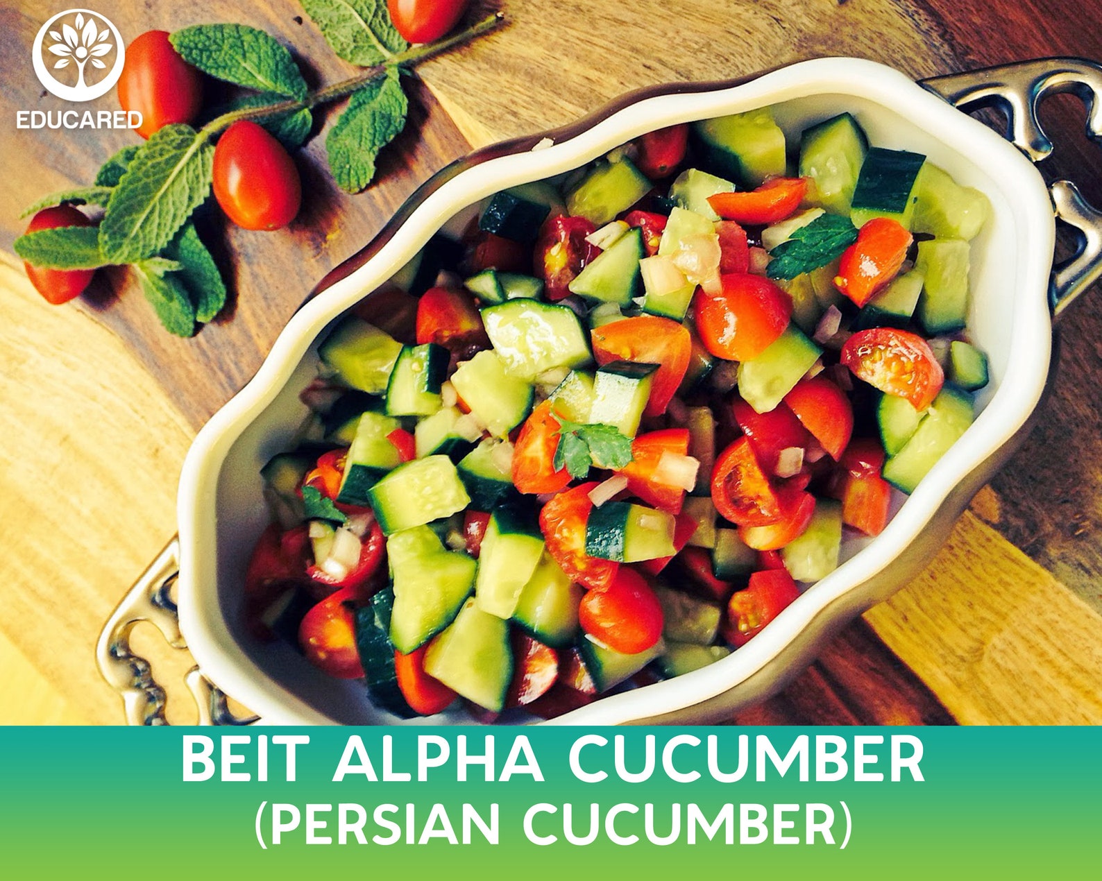 Persian Cucumber Seed Beit Alpha Cucumber - Etsy