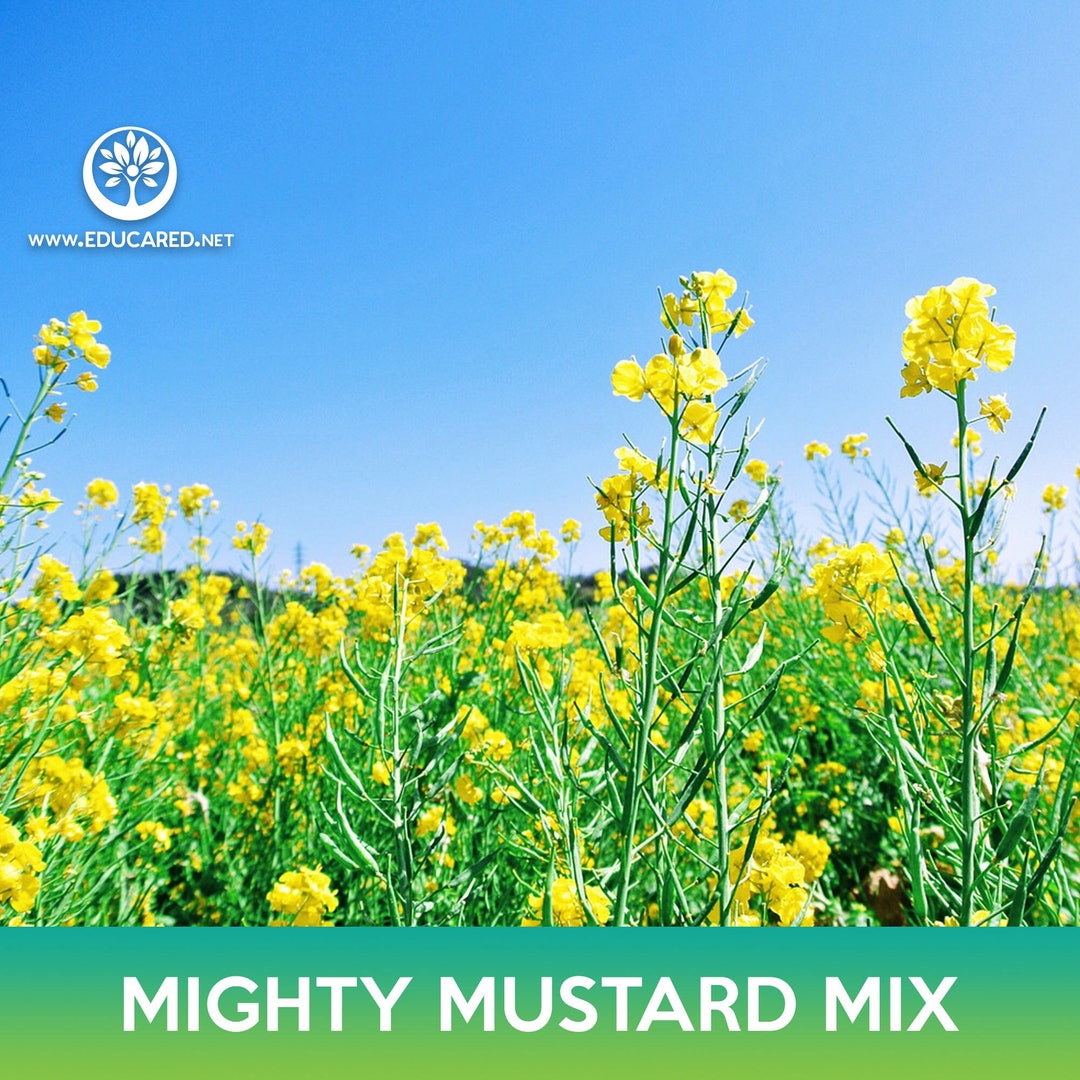 Mighty Mustard Mix Seeds, Mighty Mustard Trifecta Power Blend Cover ...