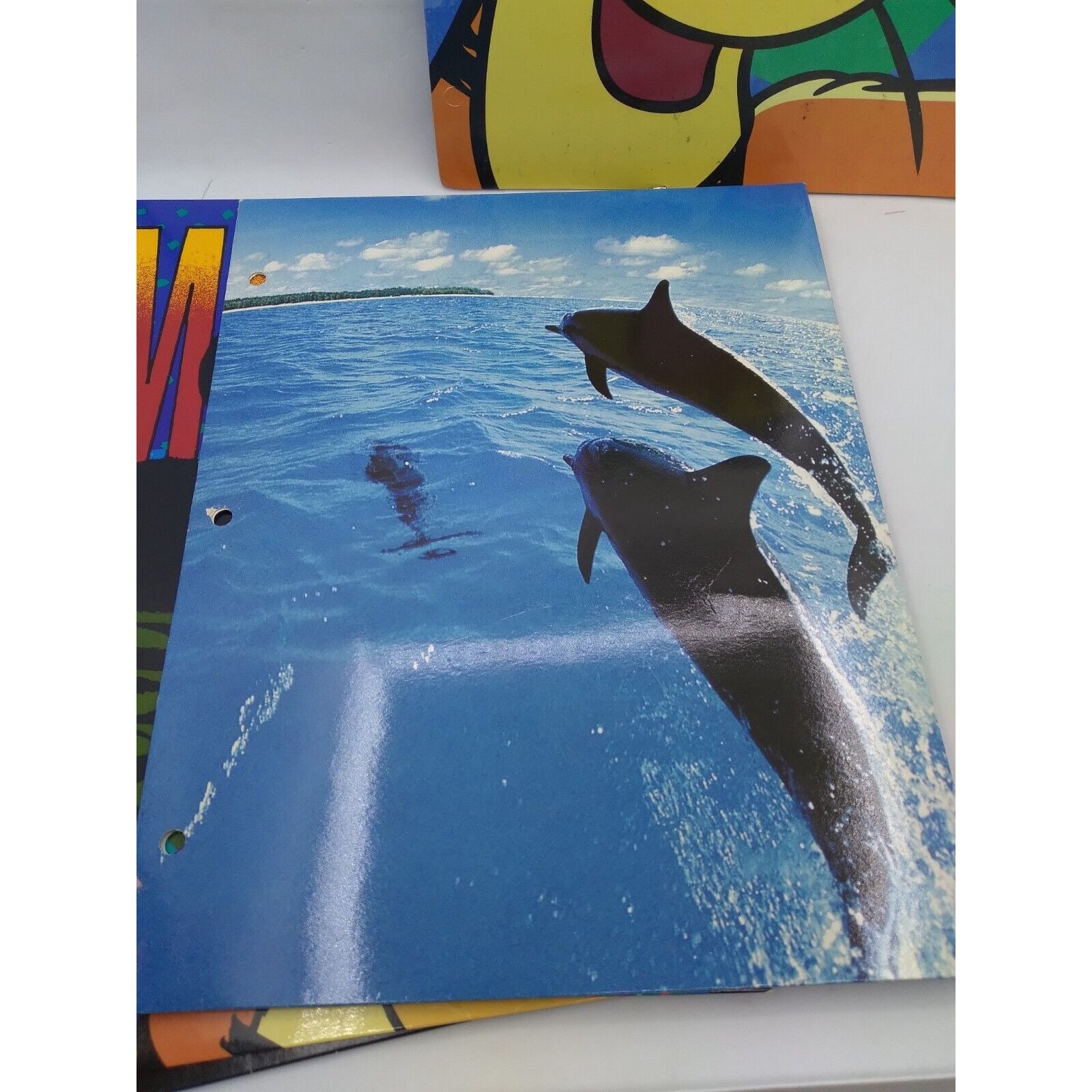 VTG Set 4 Disney Mickey Tigger Pooh & Dolphins 3 Ring Folders for ...