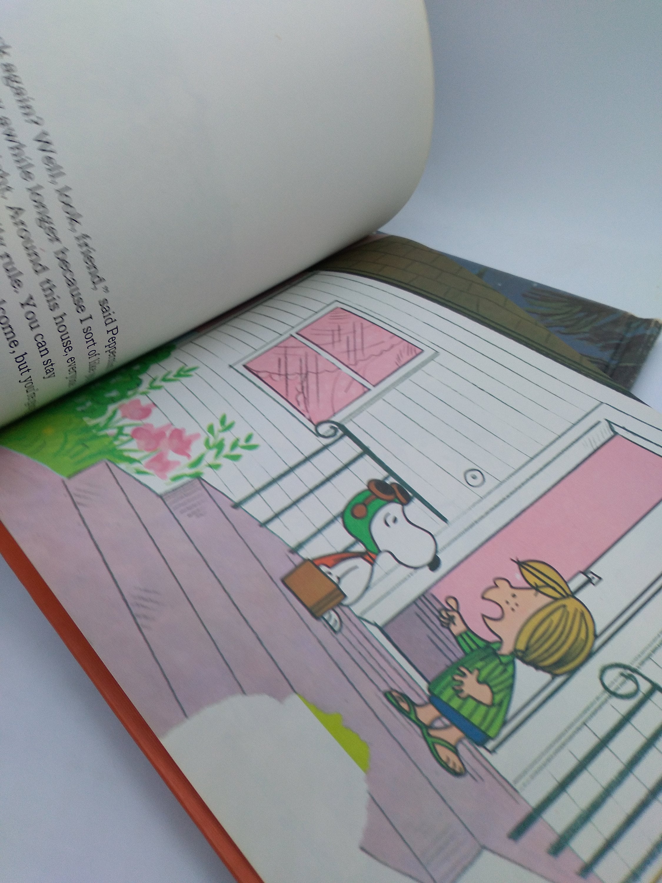 Vintage two charlie brown books | Etsy