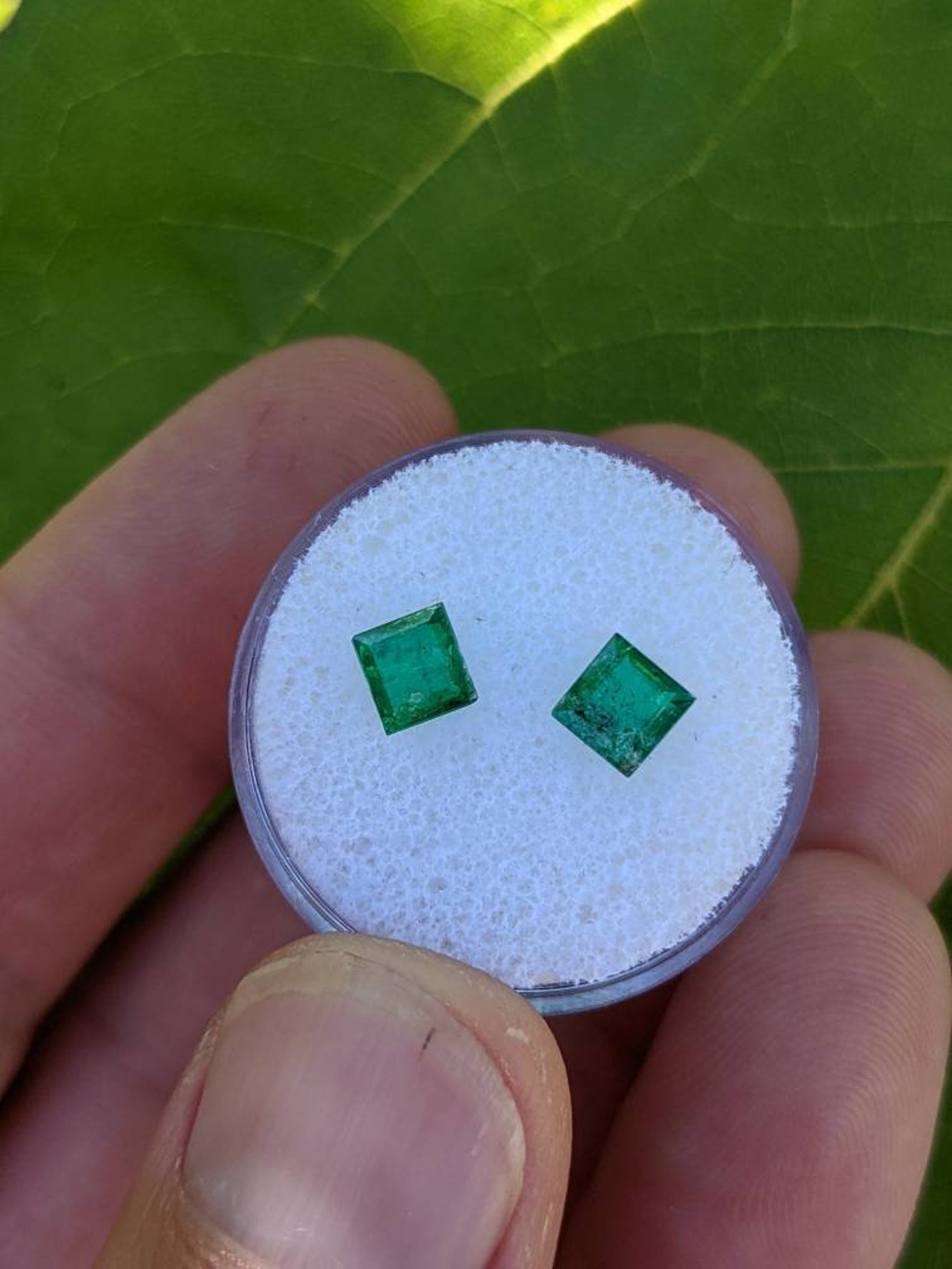 Pair of Swat Valley AAA Color Deep Mint Green Emeralds. 1 - Etsy