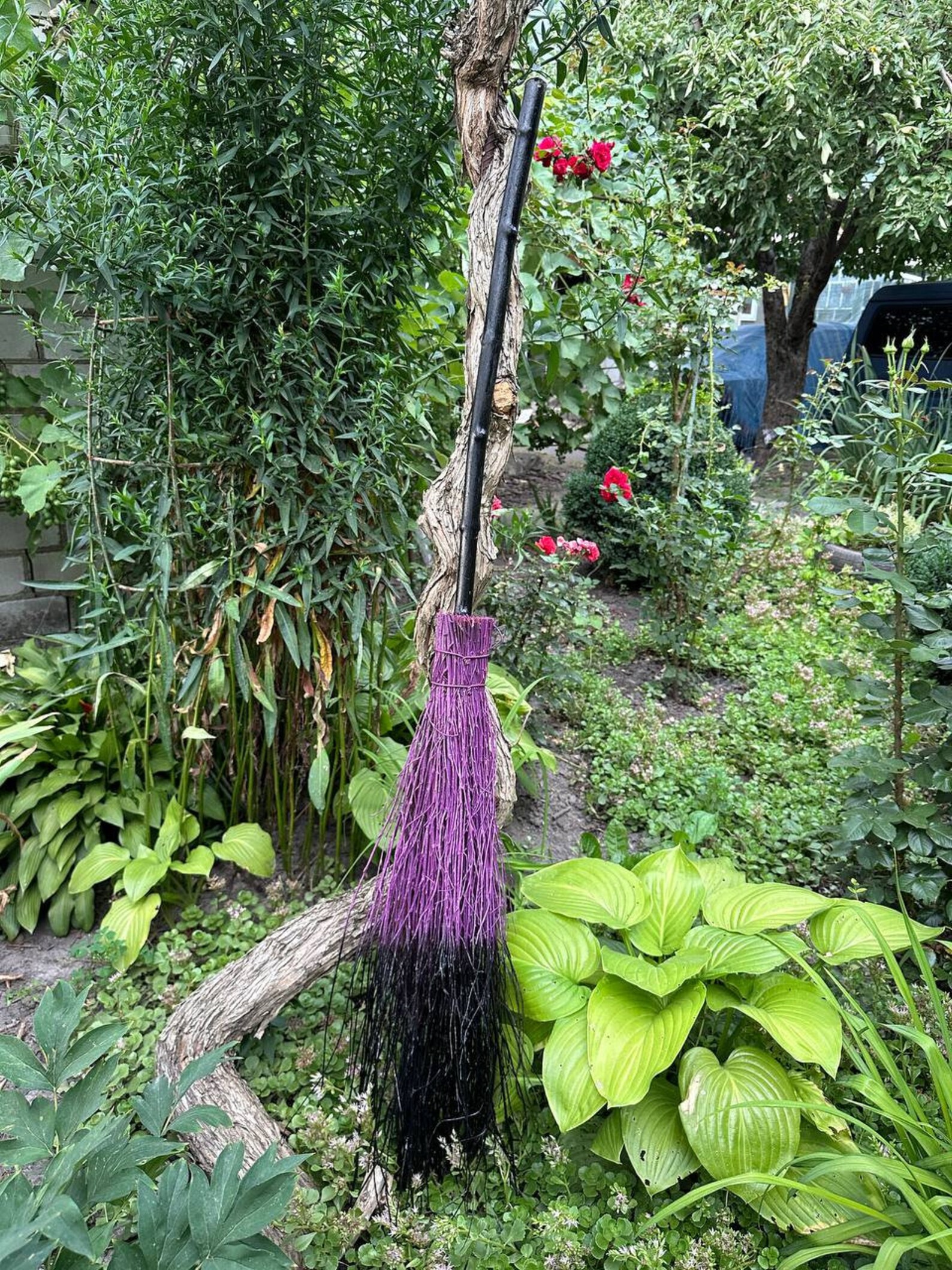 Purple Birch Broom, Besom, Birch Broom, Natural Witch Broom, Wizard ...