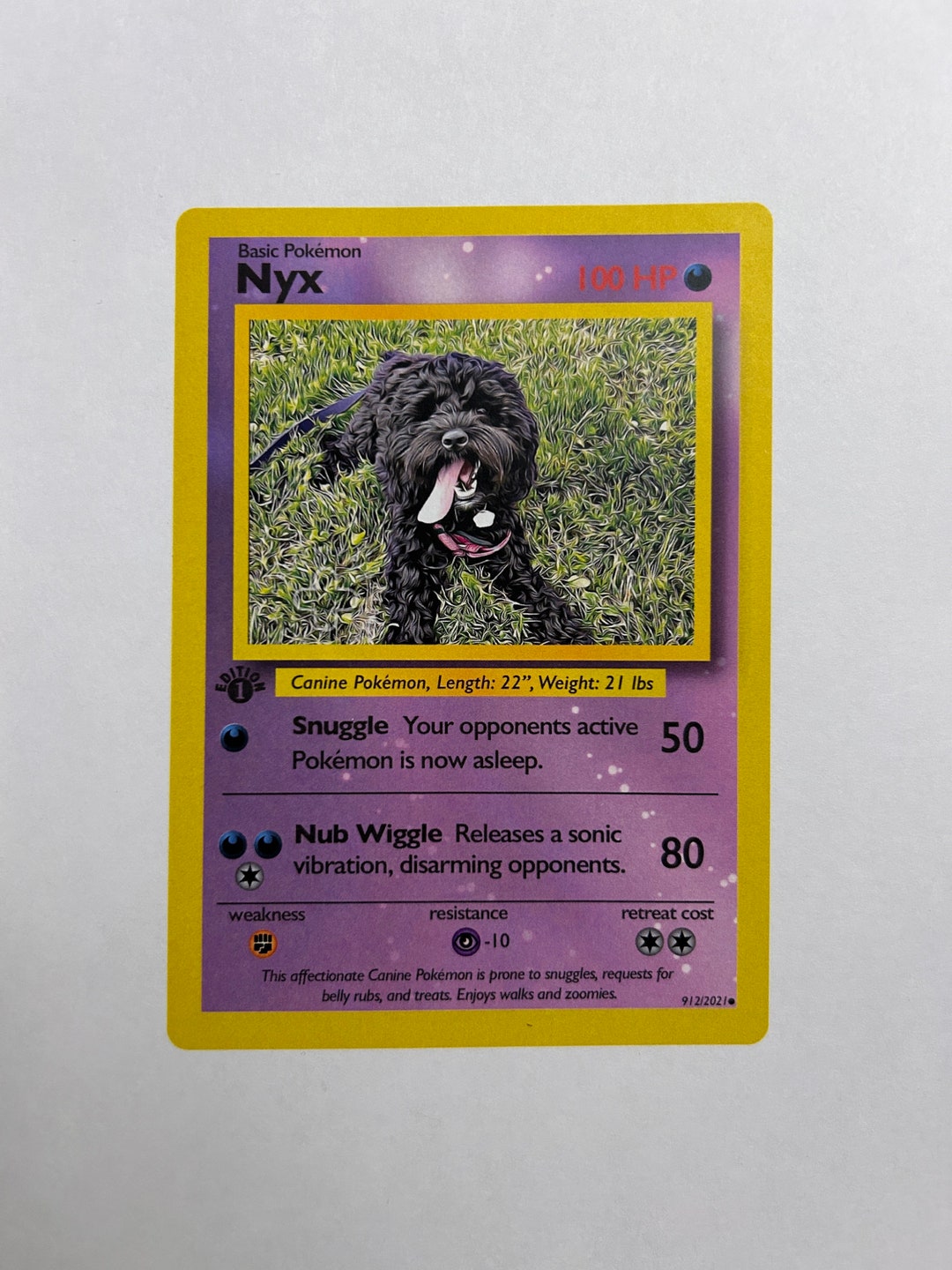 Custom Pet Pokemon Cards - Etsy