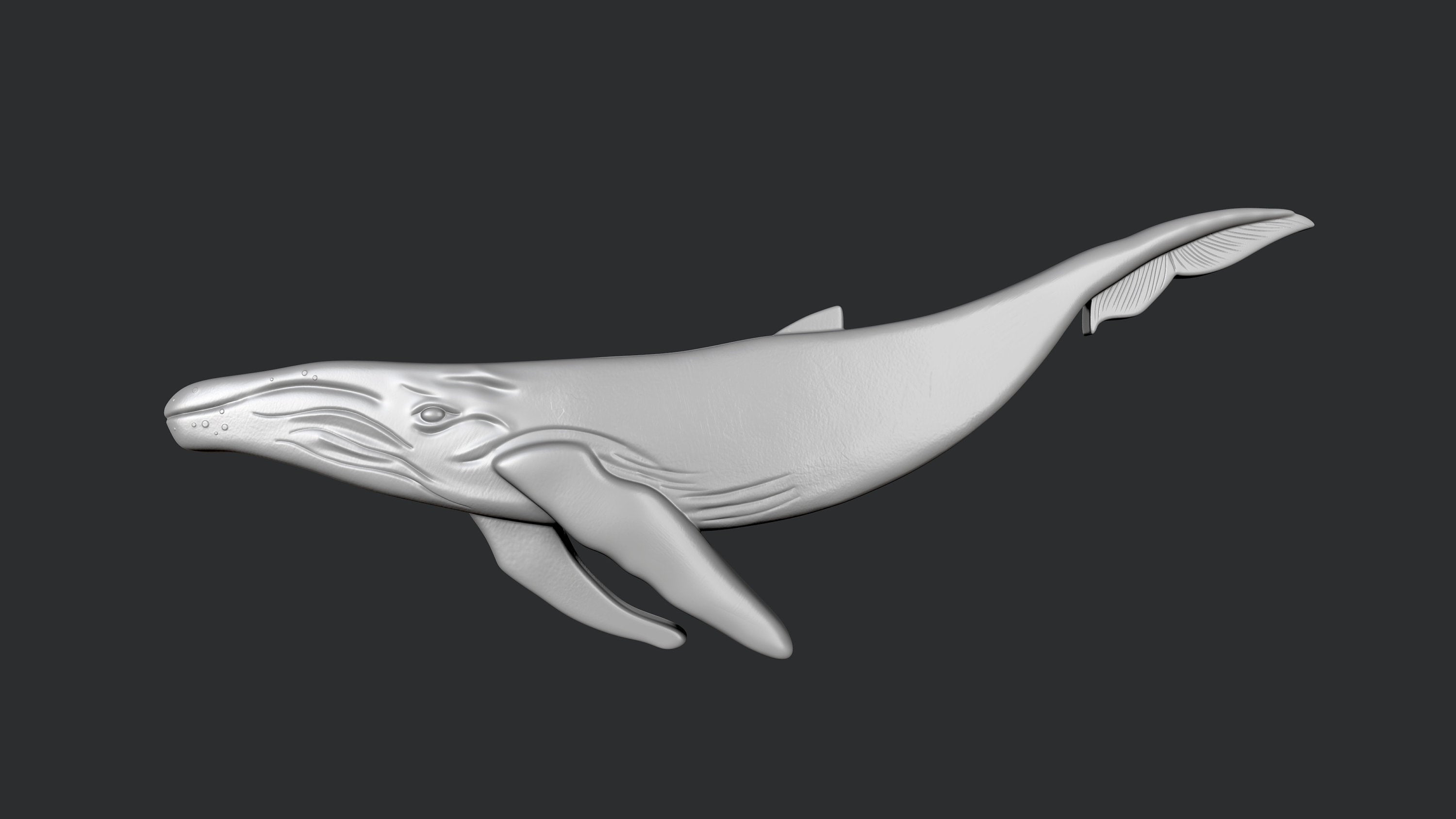 STL Models for 3D Printing and CNC Whale - Etsy
