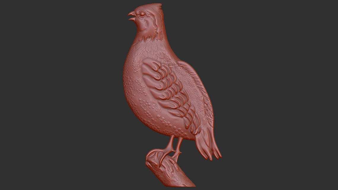 STL Models for 3D Printing and CNC Bobwhite Quail (Instant Download) - Etsy