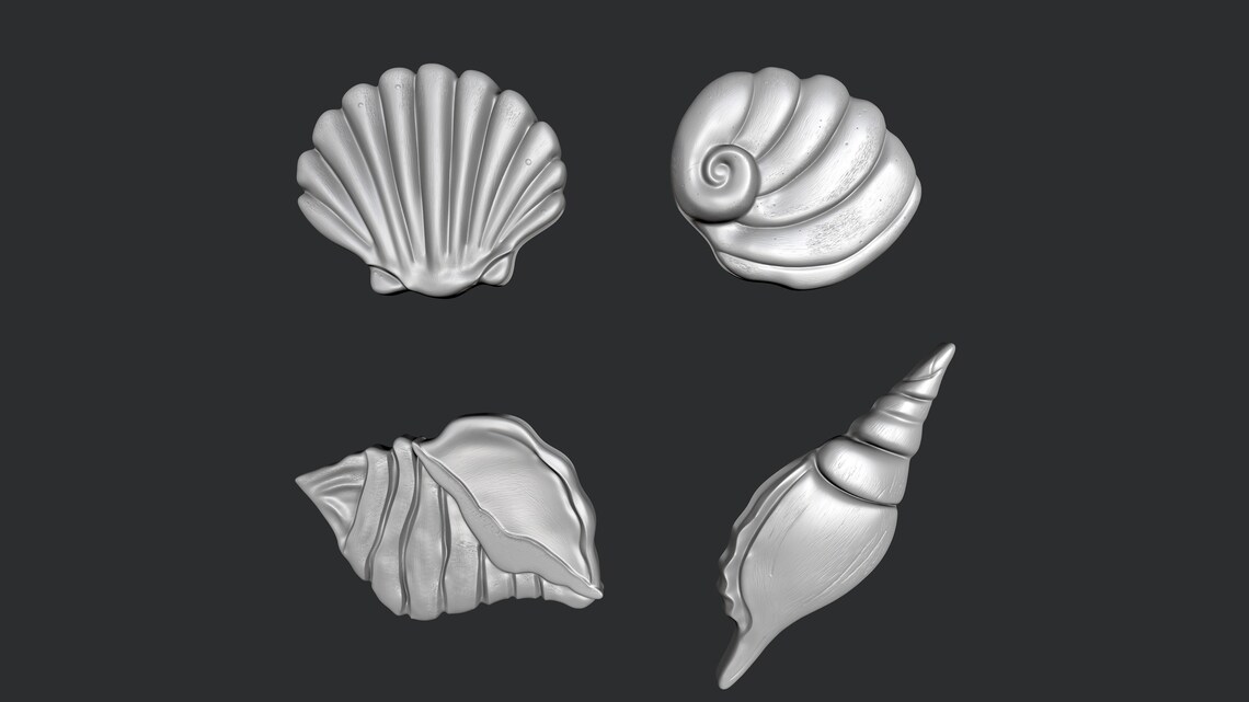 STL Models for 3D Printing and CNC Set of Seashells - Etsy