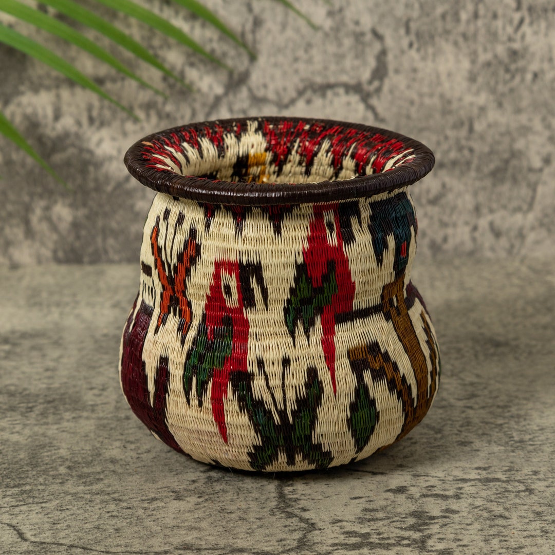 Parrots Butterfly and Jungle Critter Rainforest Basket - Etsy