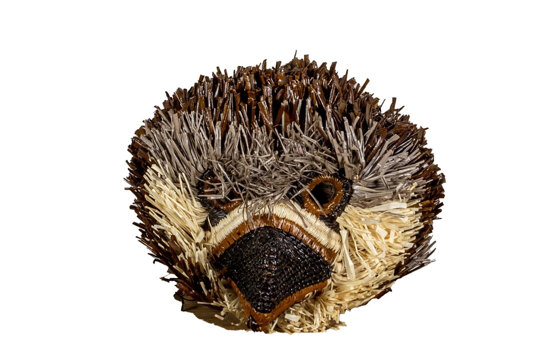 Harpy Eagle Chick Bird Mask Tribal Mask, Animal Mask Wall Decor, Wall ...