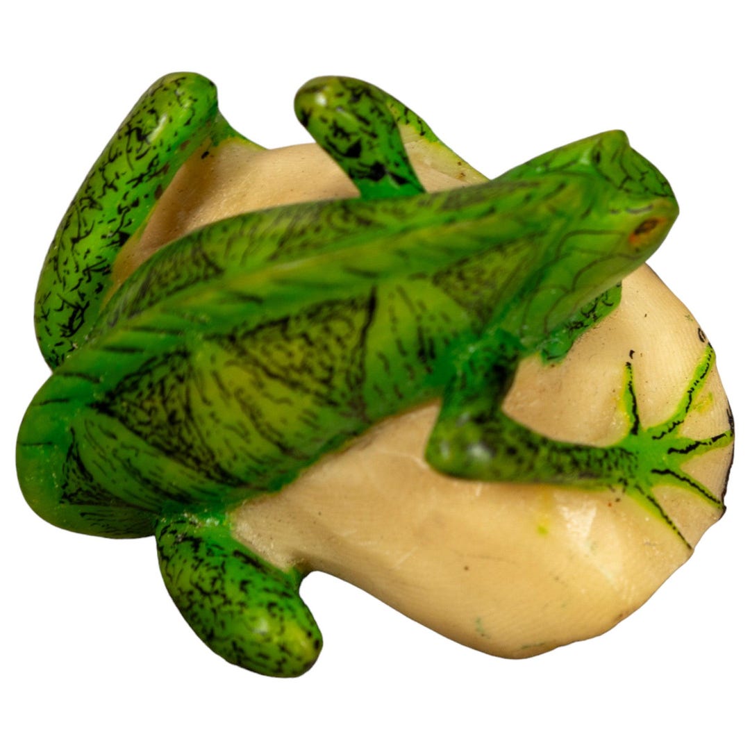 Green Iguana Lizard Tagua Nut Carving - Etsy
