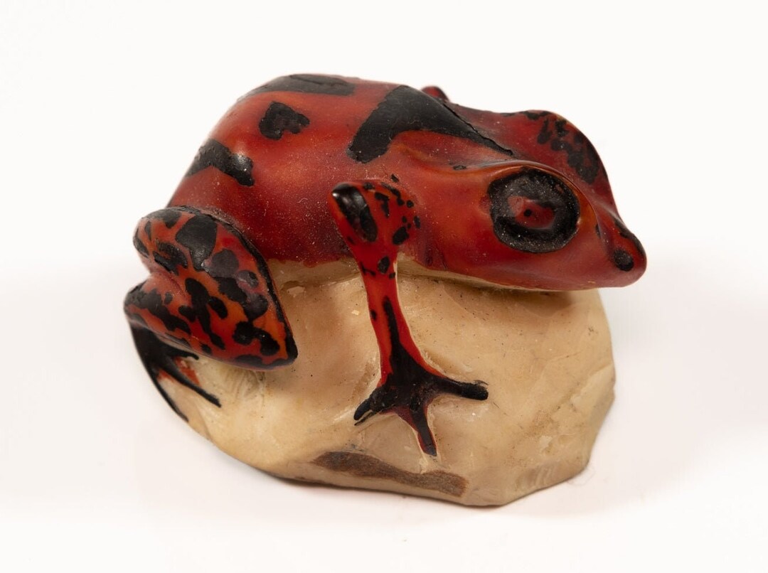 Vintage Frog Tagua Carving, Animal Statue, Carving Miniature, Figurine ...