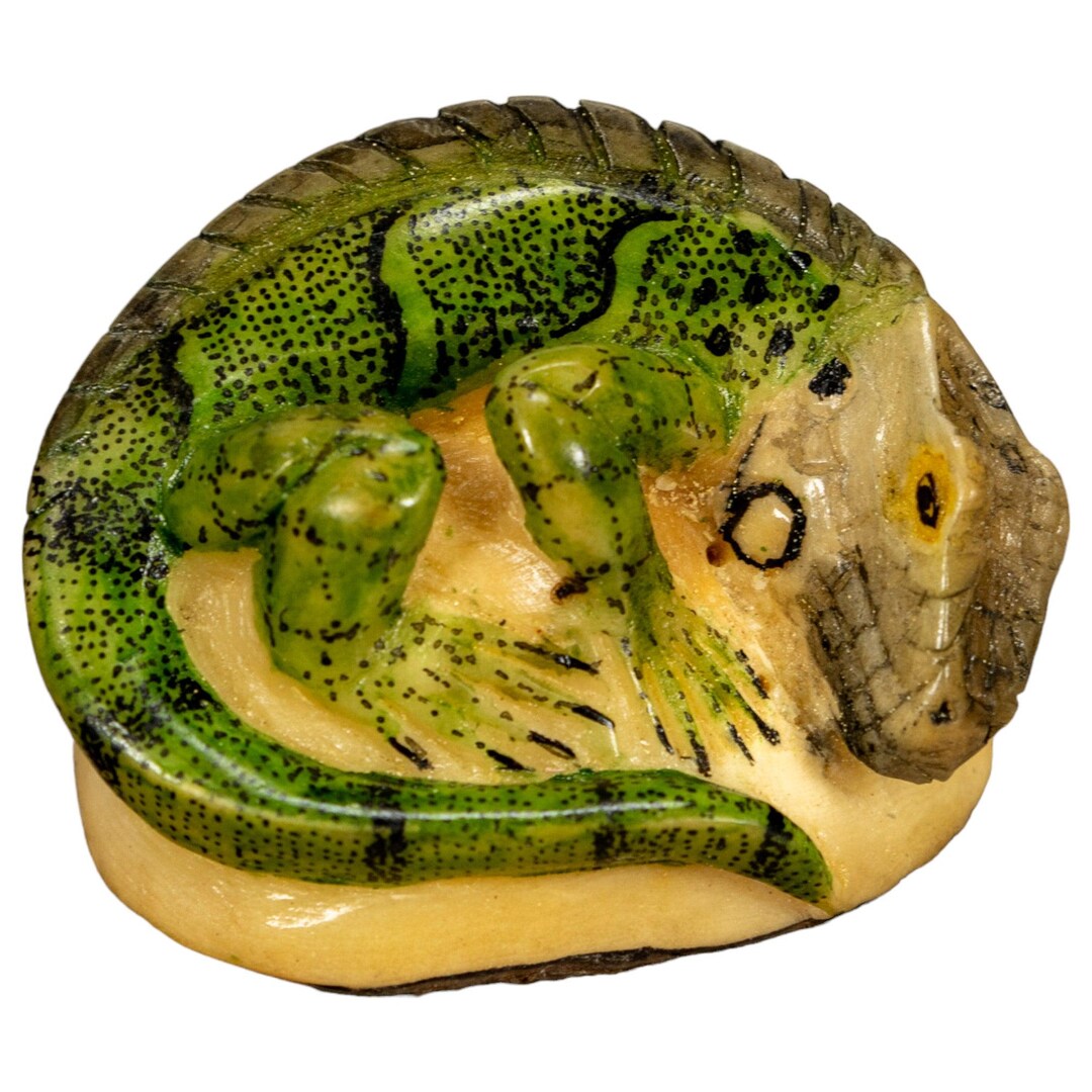Green Iguana Tagua Nut Carving, Coiled Lizard Cream Toned, Panama Hand ...