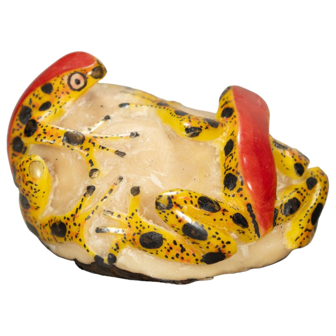 Hand-carved Poison Dart Frog Tagua Nut Sculpture - Eco-friendly ...