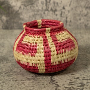 Pink and White Rainforest Basket - Etsy