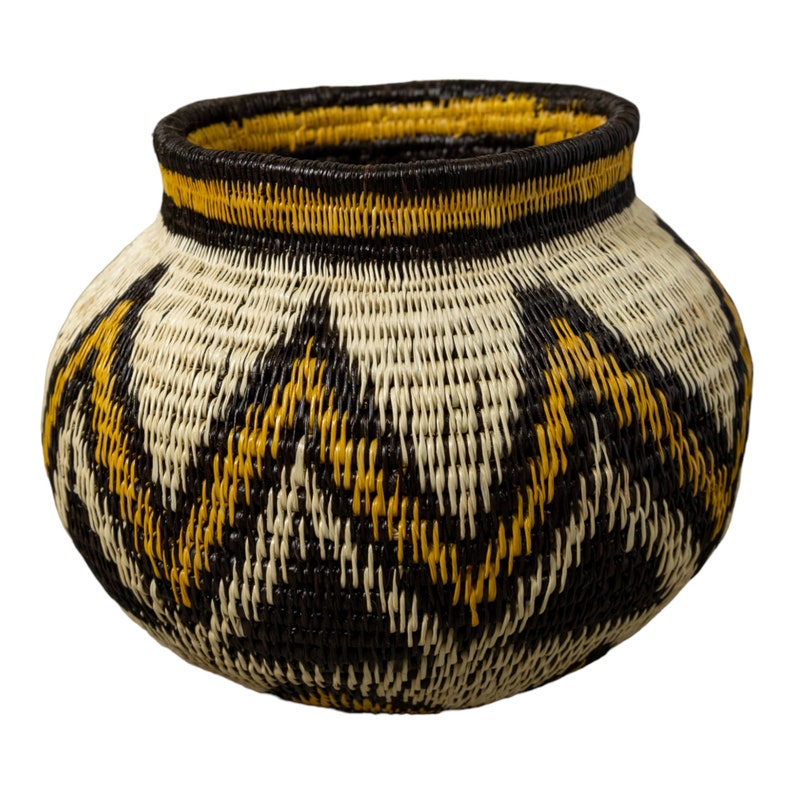 Jungle Star Burst Rainforest Basket - Etsy