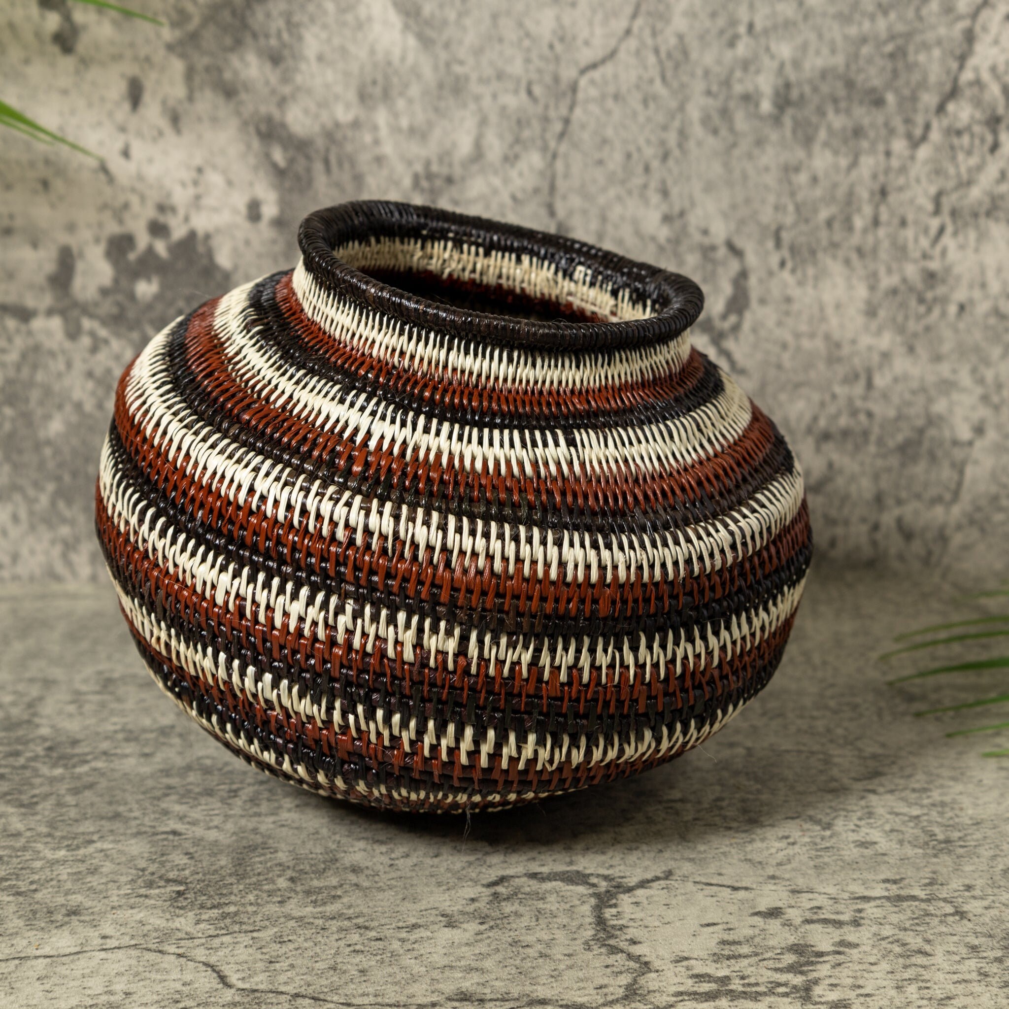 Brown Black and White Rings Rainforest Basket - Etsy