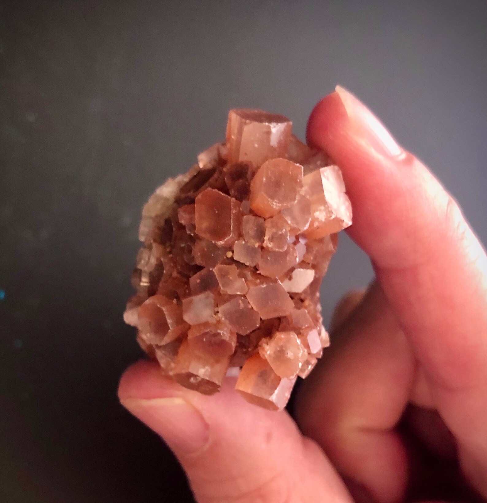Aragonite Star Cluster Raw Aragonite Star Cluster Size - Etsy