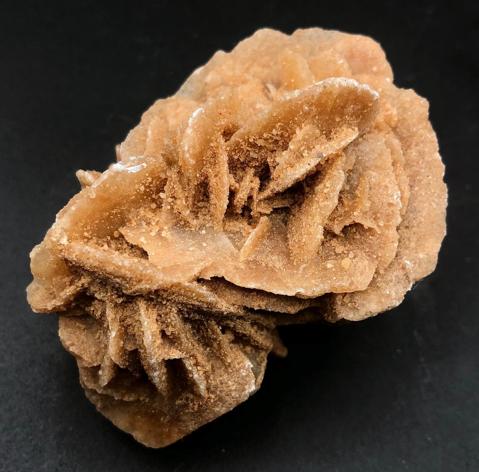 Desert sand rose rock Sahara Desert Mineral Desert Sand Rose | Etsy