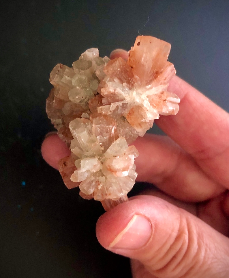 Aragonite Star Cluster Raw Aragonite Star Cluster Size - Etsy