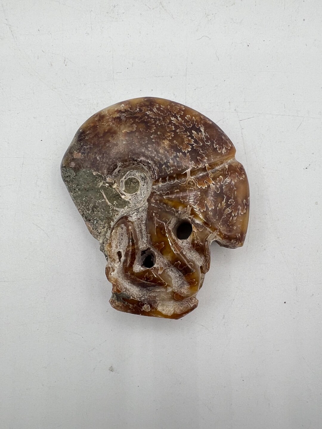 Whole Ammonite Fossil, Natural Ammonite Shell, Healing Crystal, Fossil ...