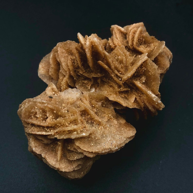 Desert Sand Rose Rock Sahara Desert Mineral Desert Sand Rose | Etsy