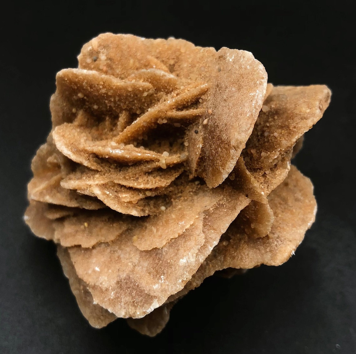 Desert sand rose rock Sahara Desert Mineral Desert Sand Rose | Etsy