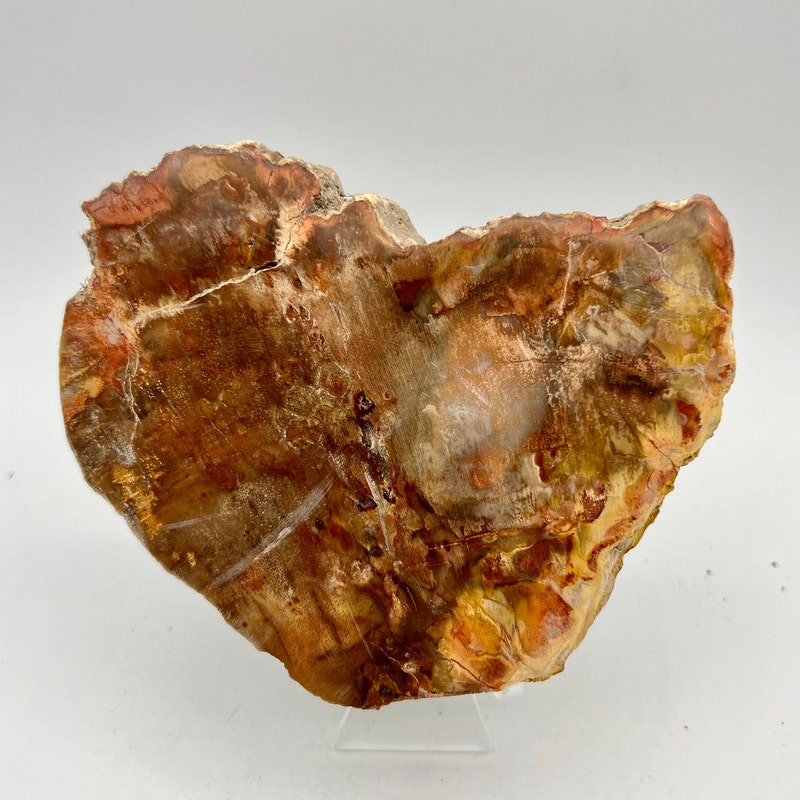 4 Inch Geode Slab - Etsy