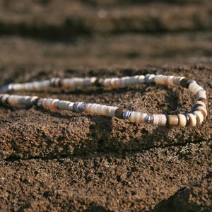 Unique Shell Coconut Choker Man / Dainty White Simple Necklace Men ...