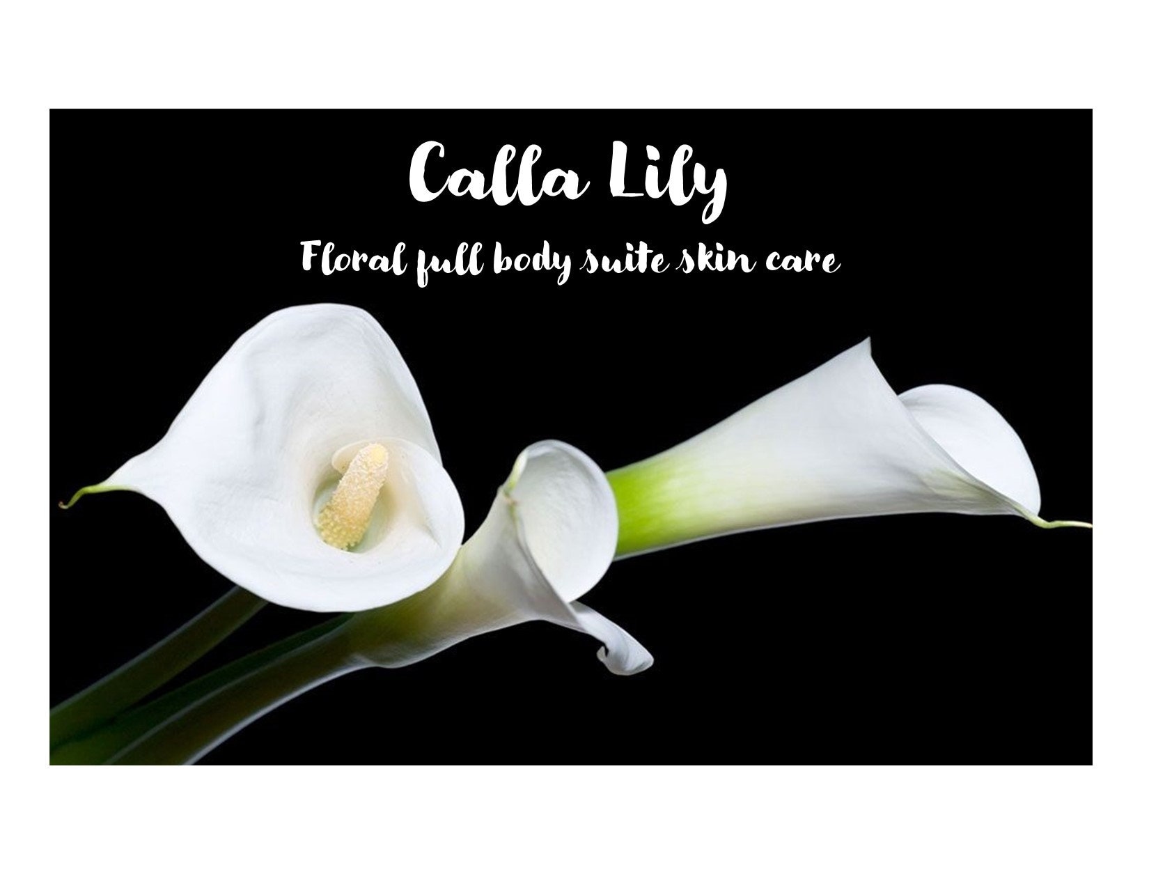 Calla Lily liquid Soap Handmade Liquid Soap Natural Liquid - Etsy 日本