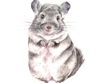 Chinchilla Art | Etsy