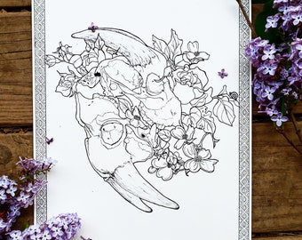 Dragonfly Coloring Sheet - Etsy