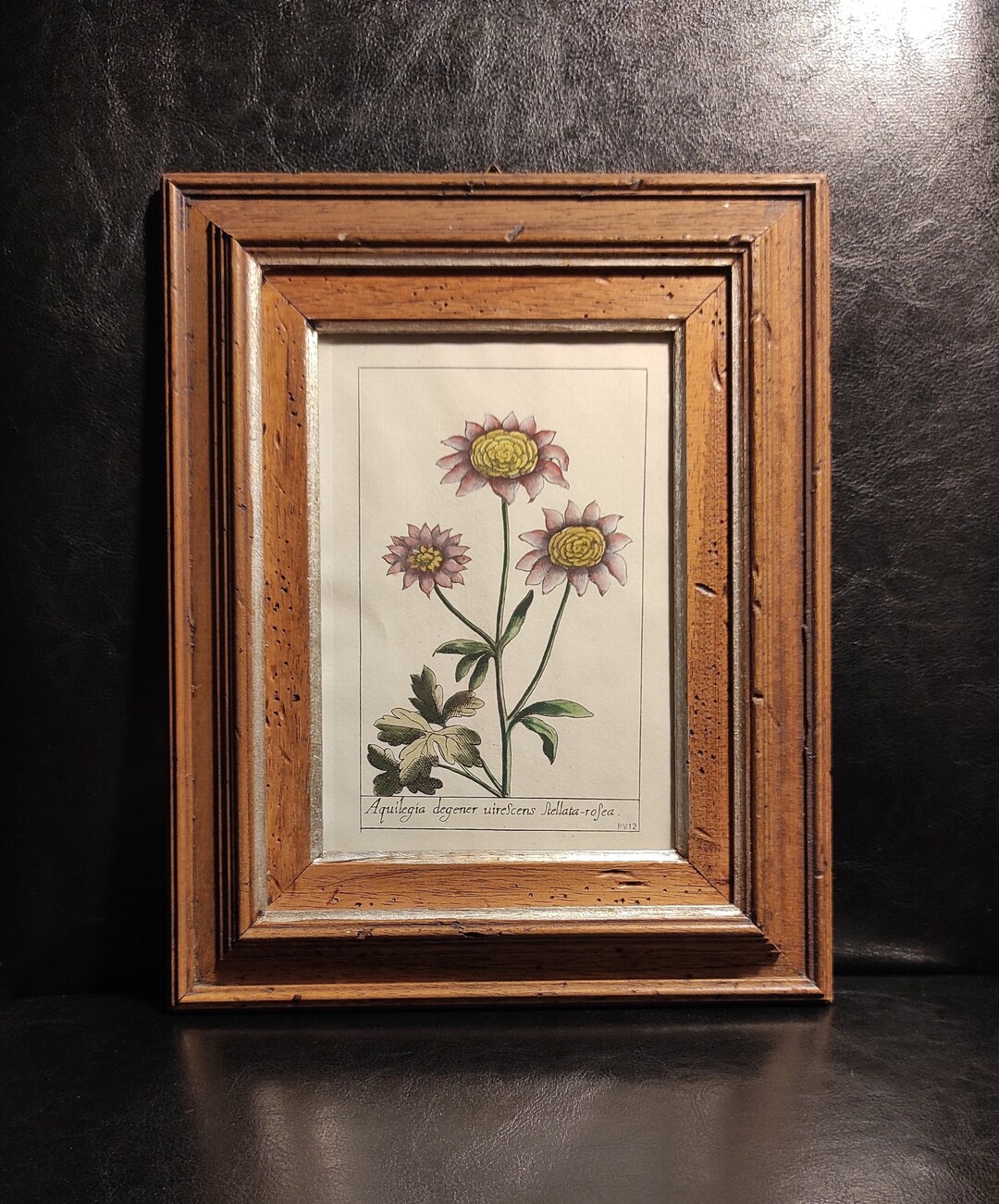 Vintage Large Frame With Glass for Pictures or Photos in a Rustic Style ...