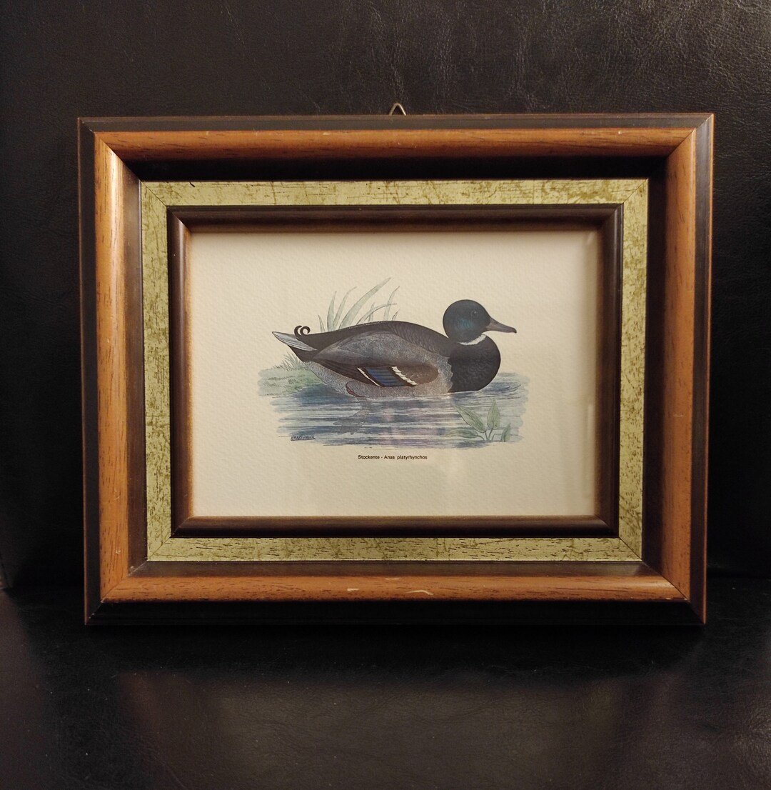 Vintage Wooden Frame 26х21 см With Duck Print - Etsy