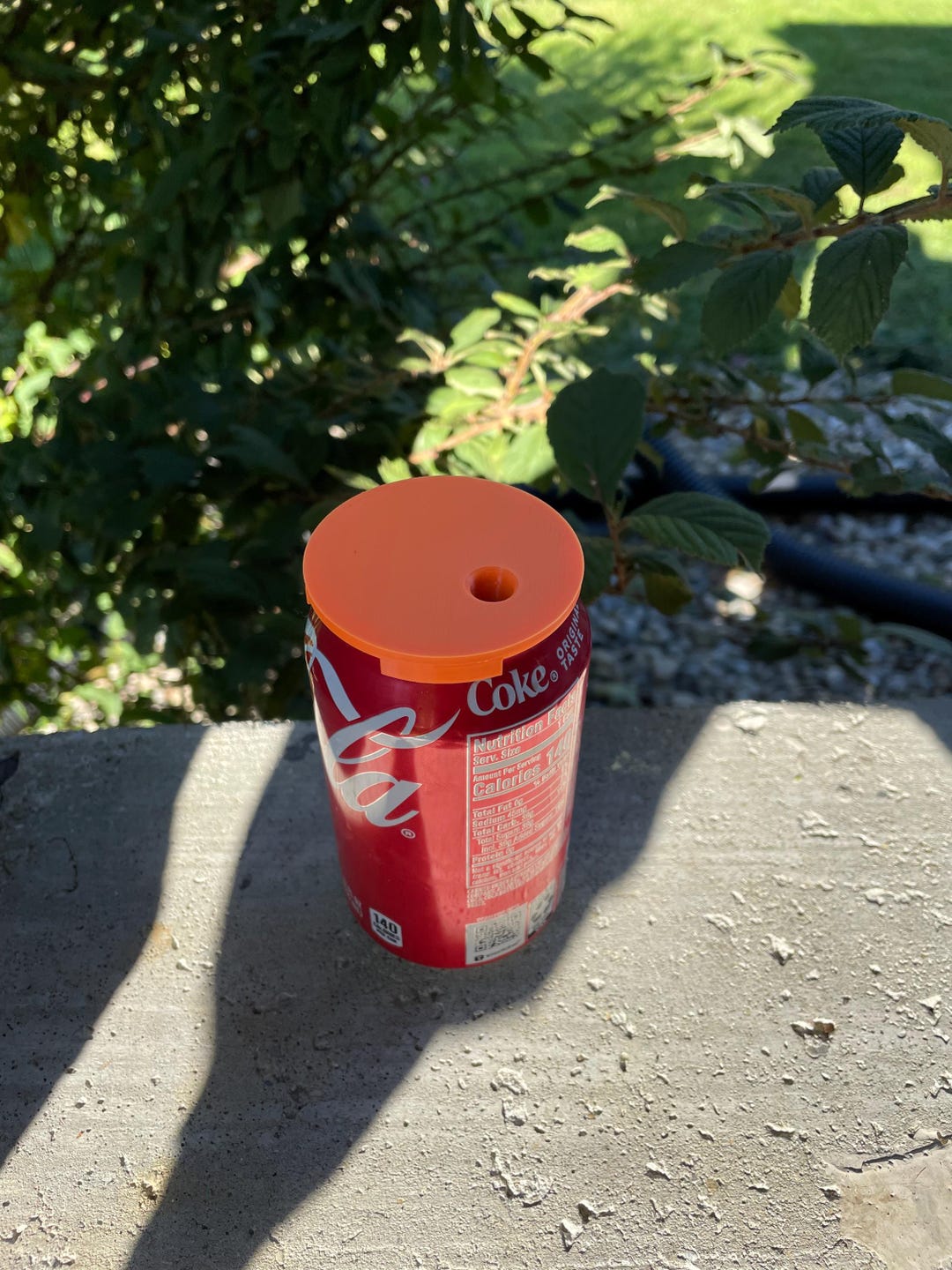 Can Lid Bee Trap. - Etsy
